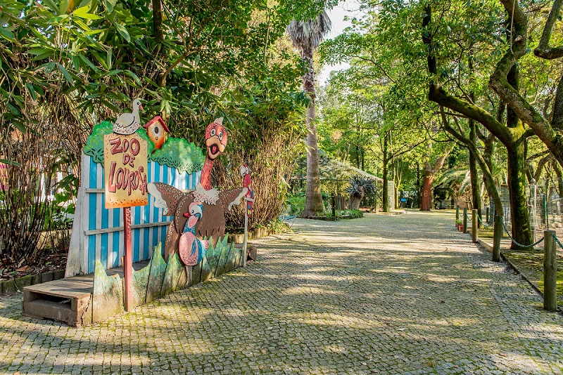 Novos habitantes dão as boas-vindas na reabertura do Zoo de Lourosa ...
